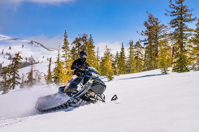 Tahoe Snowmobiling Tours - FAQ