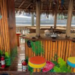 TAILFINS Destin Tiki Crab Island Dolphin Tour PRIVATE( 3 Hours) - Why This Tour Is Worth It