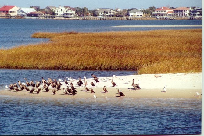 Take a Scenic Boat Ride in St. Augustine - The Experience in Detail