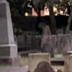 Take an Amazing Guided Ghost Tour! - Who Will Love This Tour?  