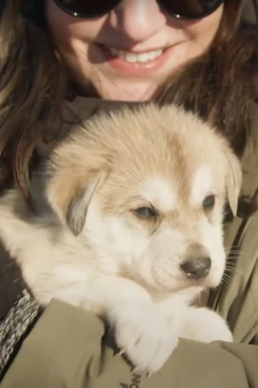Talkeetna: Alaskan Winter Dog Sledding Experience - What to Expect from the Dog Sledding Tour in Talkeetna