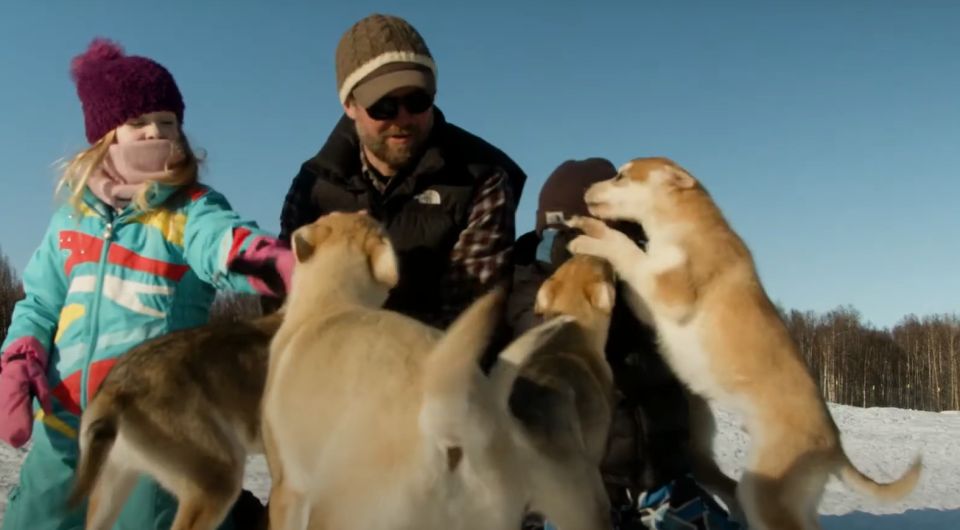 Talkeetna: Alaskan Winter Dog Sledding Experience - Who Should Consider This Tour?