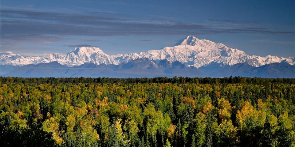 Talkeetna: Denali Zipline Tours - What’s Included and What to Consider