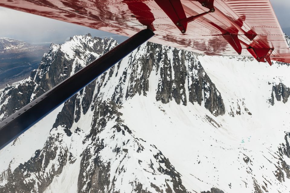 Talkeetna: Grand Denali Flight with Optional Glacier Landing - Authentic Reviews and Insights