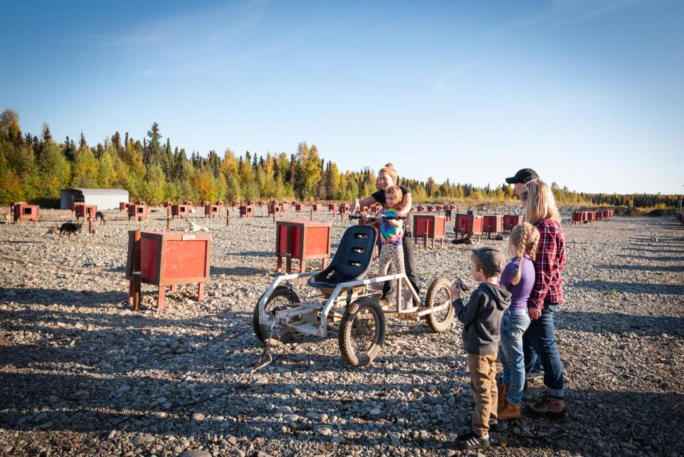 Talkeetna: Mushing Experience with Iditarod Champion Dogs - An In-Depth Look at the Experience