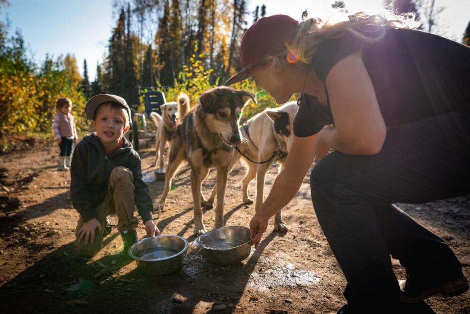 Talkeetna: Mushing Experience with Iditarod Champion Dogs - Final Thoughts: Who Should Consider This Tour?