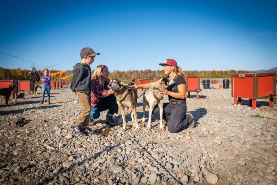 Talkeetna: Mushing Experience with Iditarod Champion Dogs - Frequently Asked Questions