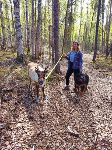 Talkeetna: The Reindeer Grove Homestead Tour and Forage - Key Points