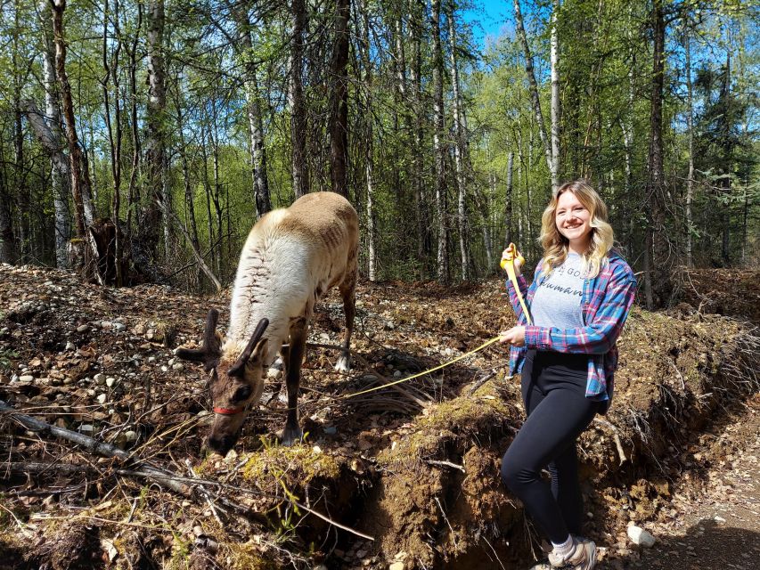 Talkeetna: The Reindeer Grove Homestead Tour and Forage - An In-Depth Look at the Reindeer Grove Homestead Tour
