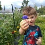 Talkeetna: The Reindeer Grove Homestead Tour and Forage - Value and Practical Details