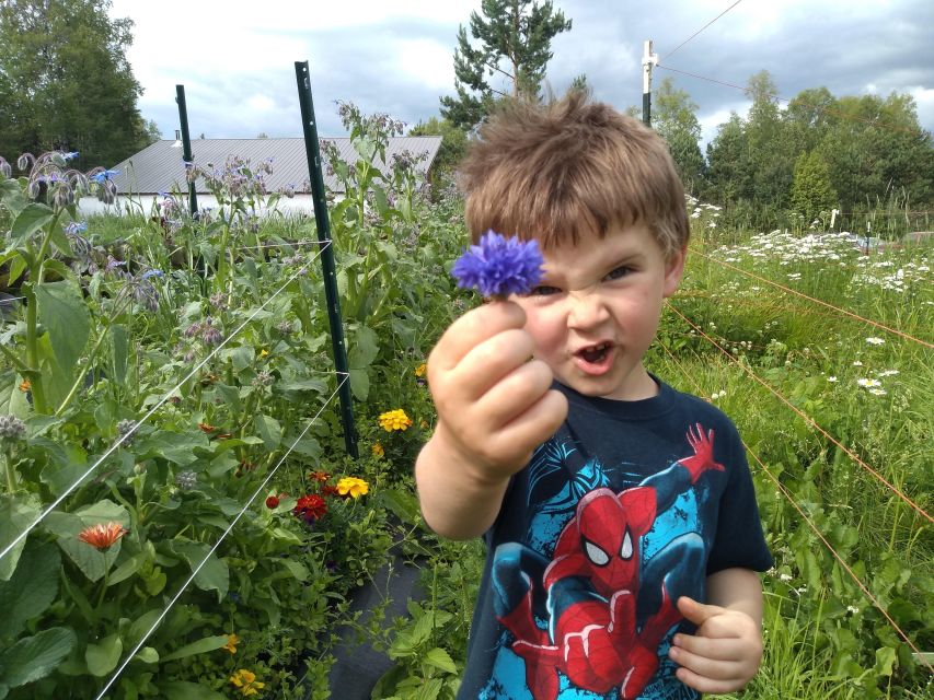 Talkeetna: The Reindeer Grove Homestead Tour and Forage - Value and Practical Details