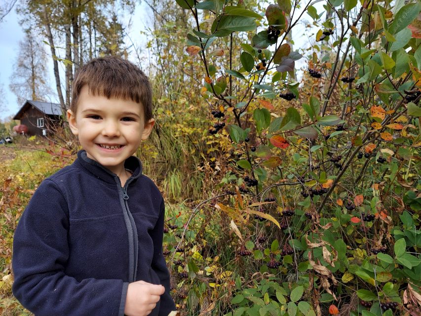 Talkeetna: The Reindeer Grove Homestead Tour and Forage - What Reviewers Say