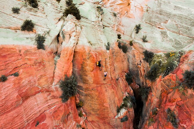 "Tallest in Utah" Via Ferrata & Rappelling (4 hr) - Key Points