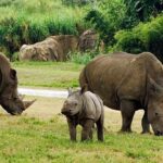 Tampa Bay CityPASS® - How the Itinerary Unfolds