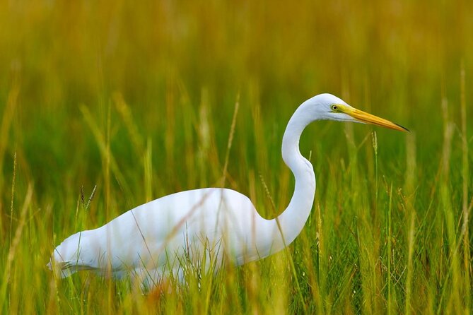 Tampa Bay Inshore Fishing Charters - Key Points