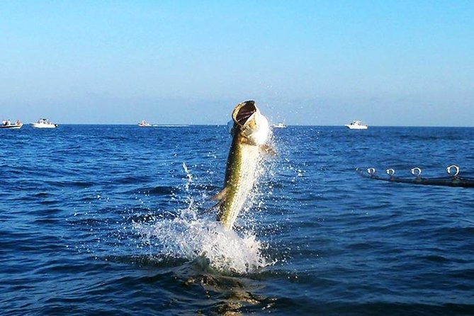 Tampa Bay Inshore Fishing Charters - The Sum Up: Is This Tour Worth It?
