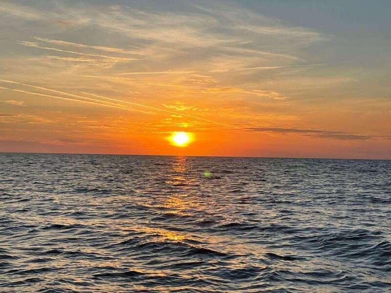 Tampa Bay: Sunset Cruise with Celebrity Homes and Wildlife - Key Points