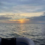 Tampa Bay: Sunset Cruise with Celebrity Homes and Wildlife - The Itinerary in Detail