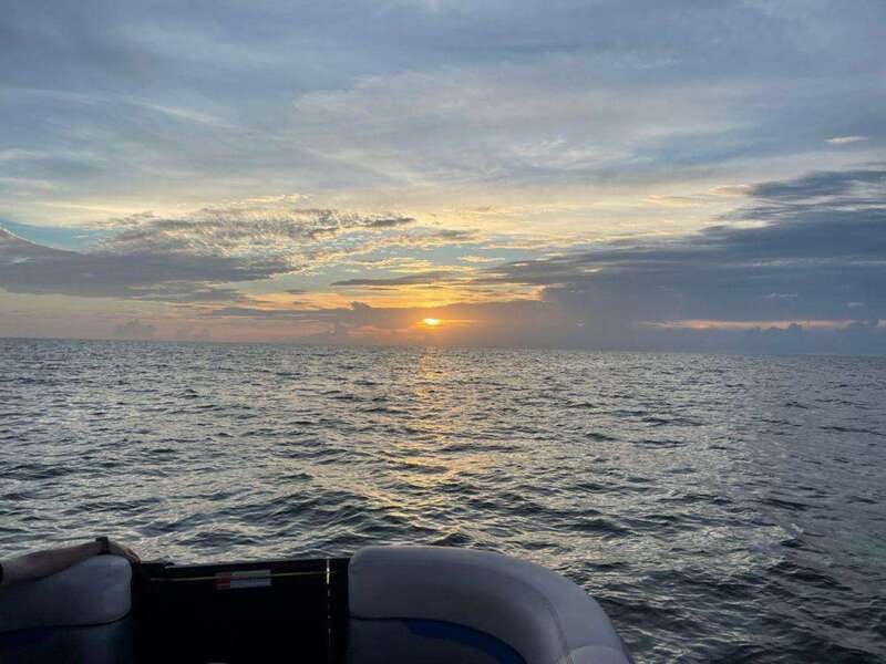 Tampa Bay: Sunset Cruise with Celebrity Homes and Wildlife - The Itinerary in Detail
