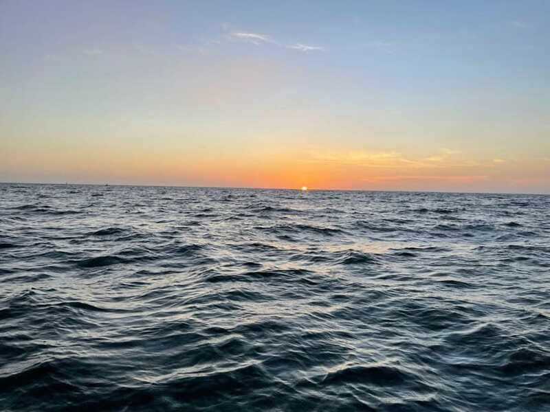 Tampa Bay: Sunset Cruise with Celebrity Homes and Wildlife - The Experience from Reviews