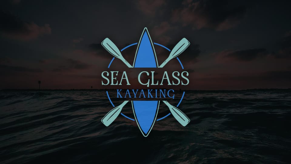 Tampa: Clear Glowing Kayak Nighttime Tour - The Itinerary: What You Can Expect