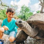 Tampa: ZooTampa at Lowry Park Entry Ticket - What to Expect from Your Visit
