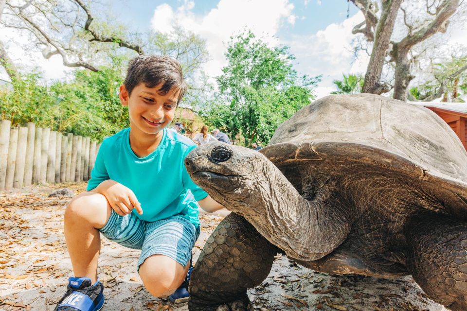 Tampa: ZooTampa at Lowry Park Entry Ticket - What to Expect from Your Visit