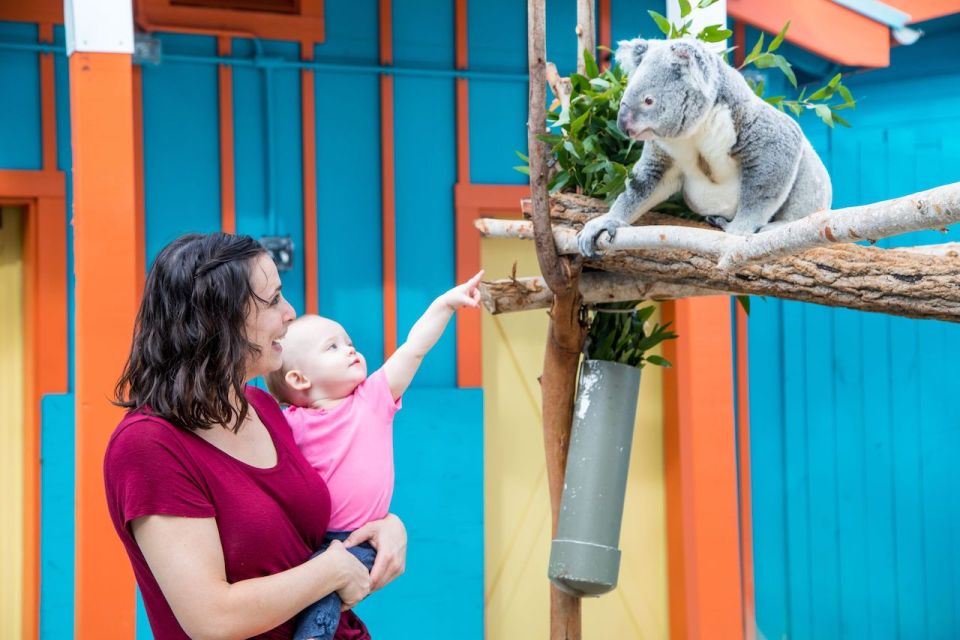 Tampa: ZooTampa at Lowry Park Entry Ticket - Practical Tips for Visiting