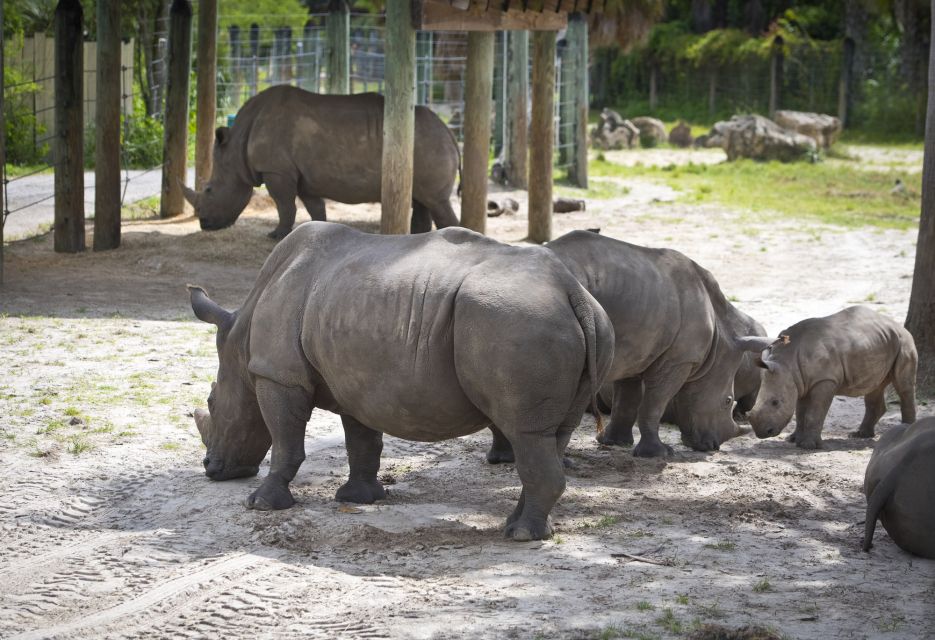Tampa: ZooTampa at Lowry Park Entry Ticket - The Experience from a Visitor’s Perspective