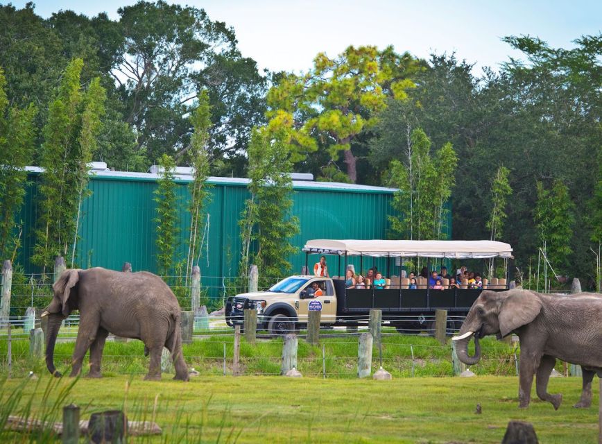 Tampa: ZooTampa at Lowry Park Entry Ticket - The Conservation Impact
