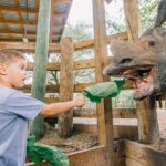 Tampa's ZooQuarium Admission - Practical Tips for Your Visit