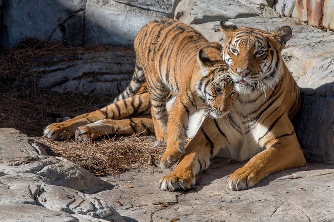 Tampa's ZooQuarium Admission - FAQs about Tampas ZooQuarium Admission  