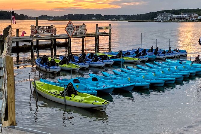 Tandem Kayak Rental in Rehoboth Bay - Key Points