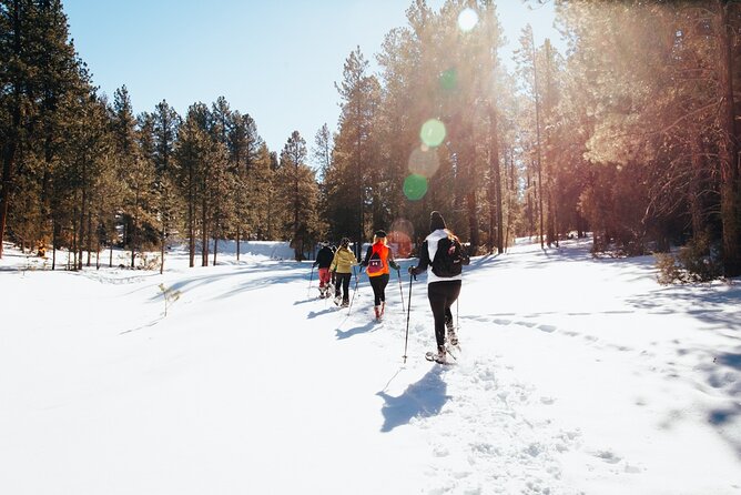 Taos Backcountry Snowshoe Tour - Exploring the Taos Backcountry Snowshoe Tour: A Genuine Wilderness Experience