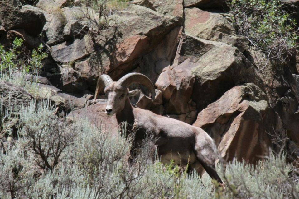 Taos/Santa Fe: Rio Grande Half-Day Float Trip - Key Points