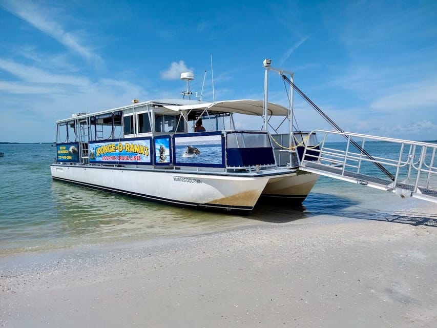 Tarpon Springs: Evening Dolphin Cruise - Final Thoughts