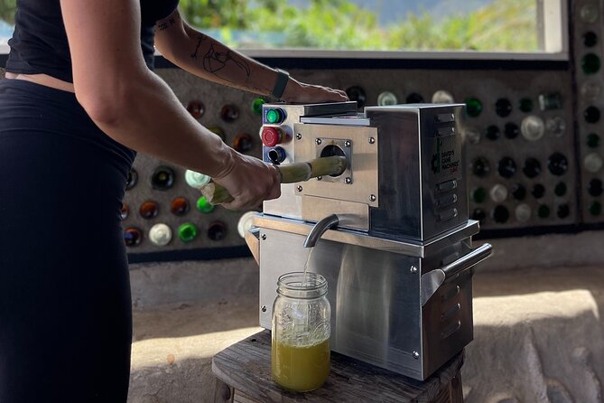 Taste of Hawaii: A Maui Farm Tour - An In-Depth Look at the Maui Farm Tour