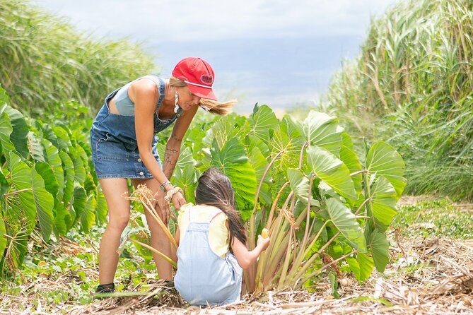 Taste of Hawaii: A Maui Farm Tour - Who Should Consider This Tour?