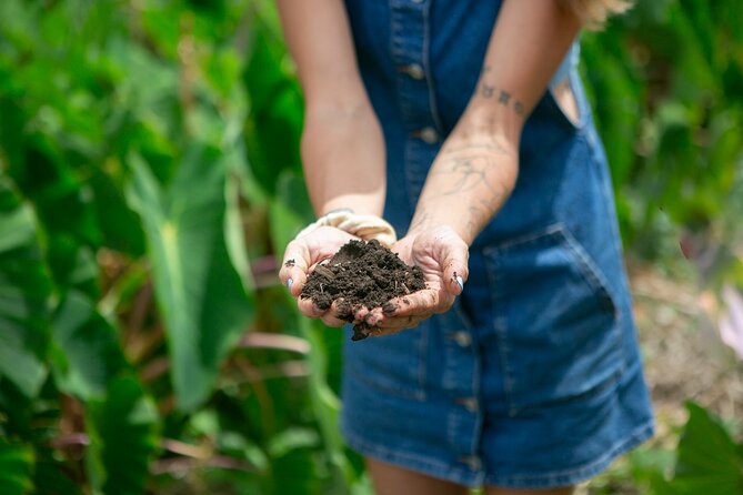 Taste of Hawaii: A Maui Farm Tour - FAQ