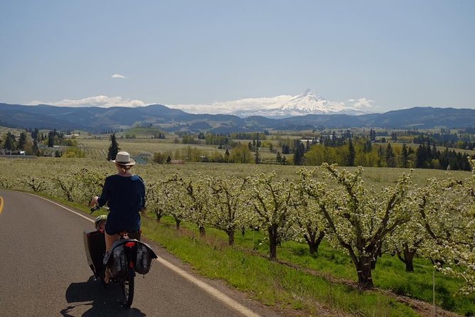 Tasting the Gorge by Ebike - Practical Considerations