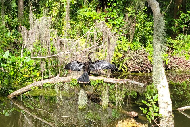 Tavares Half-Day Kayak Rental for Two on the Dora Canal - Key Points