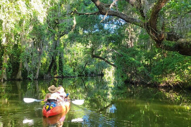 Tavares Half-Day Kayak Rental for Two on the Dora Canal - The Sum Up
