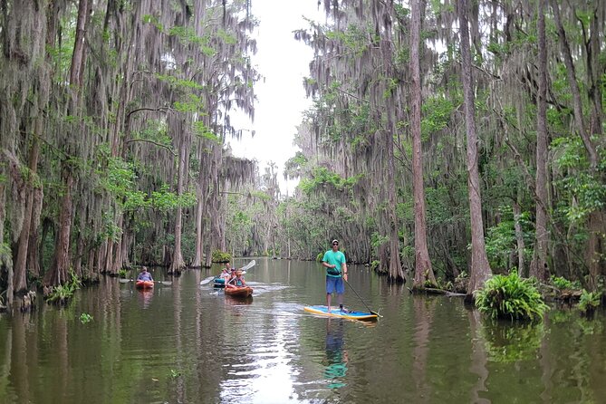 Tavares Poppy's Sweet Paddle Adventure with Ice Cream - Final Thoughts: Is It Worth It?
