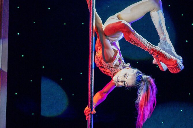 Teatro Martini Dinner Show in Orlando - Who Should Consider This Experience?
