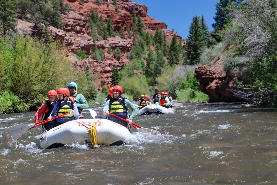 Telluride 1 Day Rafting Trip with Lunch - San Miguel River - The Full Experience: What to Expect from the San Miguel River Rafting Trip