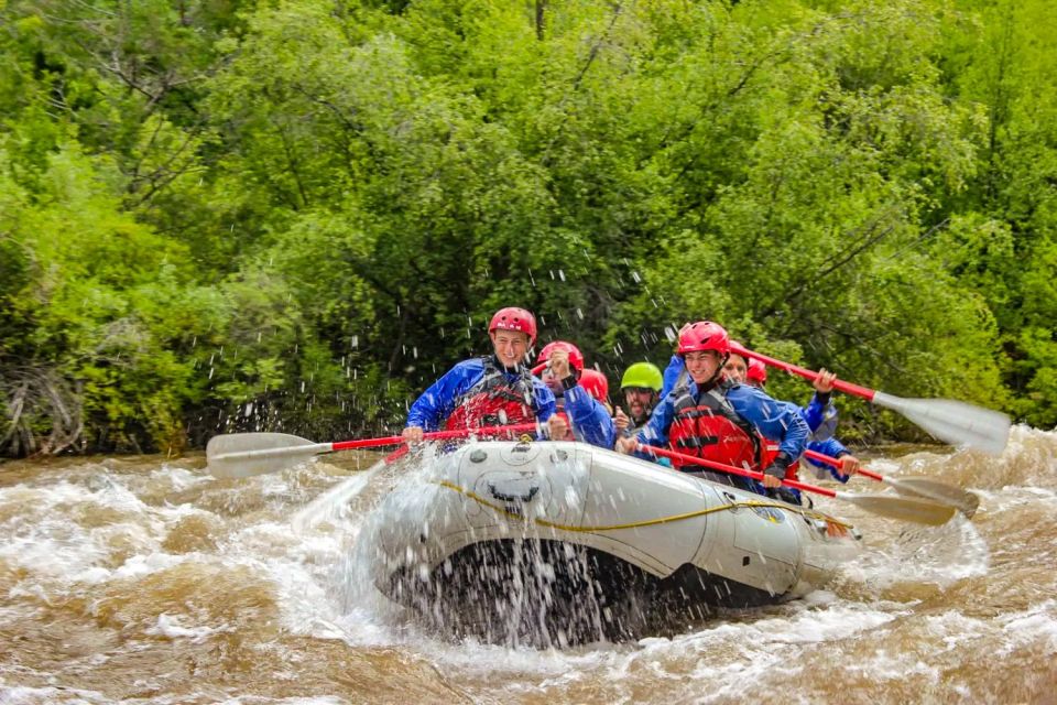Telluride 1 Day Rafting Trip with Lunch - San Miguel River - Who Will Love This Tour?