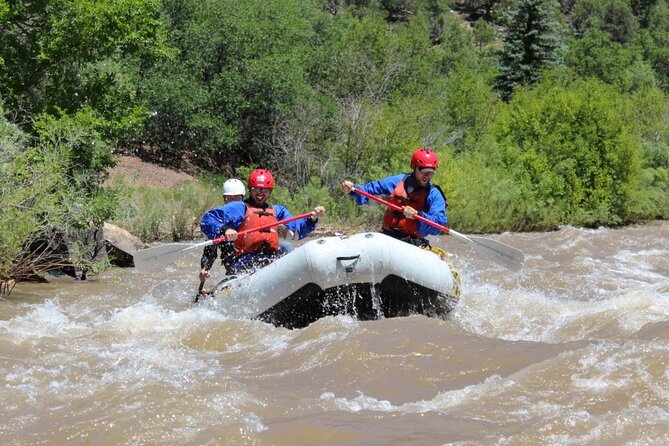 Telluride Afternoon Half Day Rafting Trip - San Miguel River - Practical Details: Making the Most of Your Trip