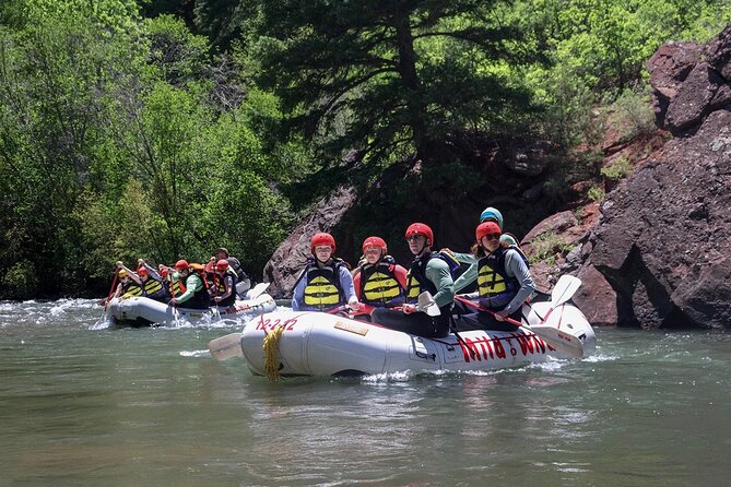 Telluride Afternoon Half Day Rafting Trip - San Miguel River - Concluding Thoughts: Who Will Love This Trip?