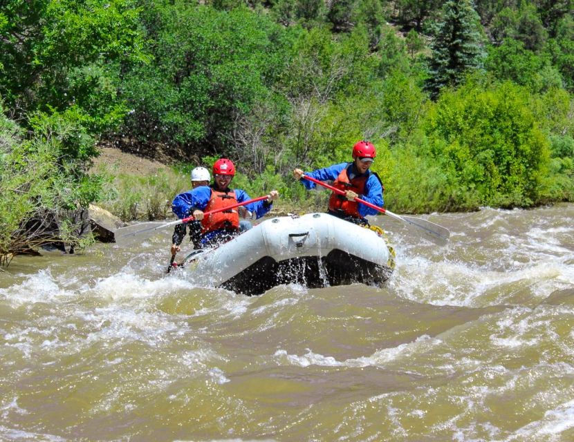 Telluride Afternoon Half Day Rafting Trip - San Miguel River - The Experience in Detail