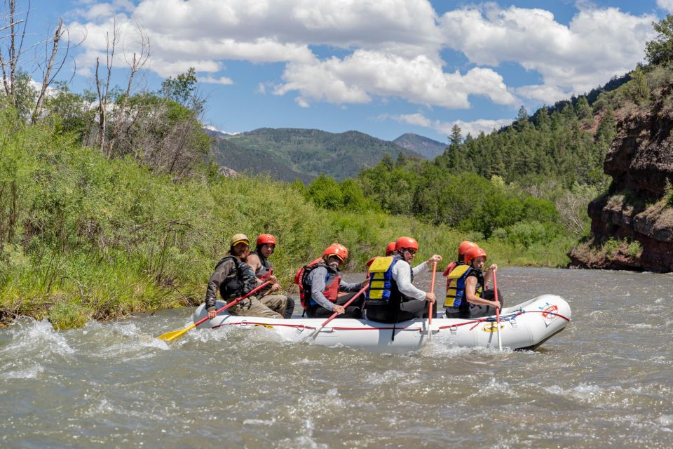 Telluride Afternoon Half Day Rafting Trip - San Miguel River - Who Should Book This Tour?